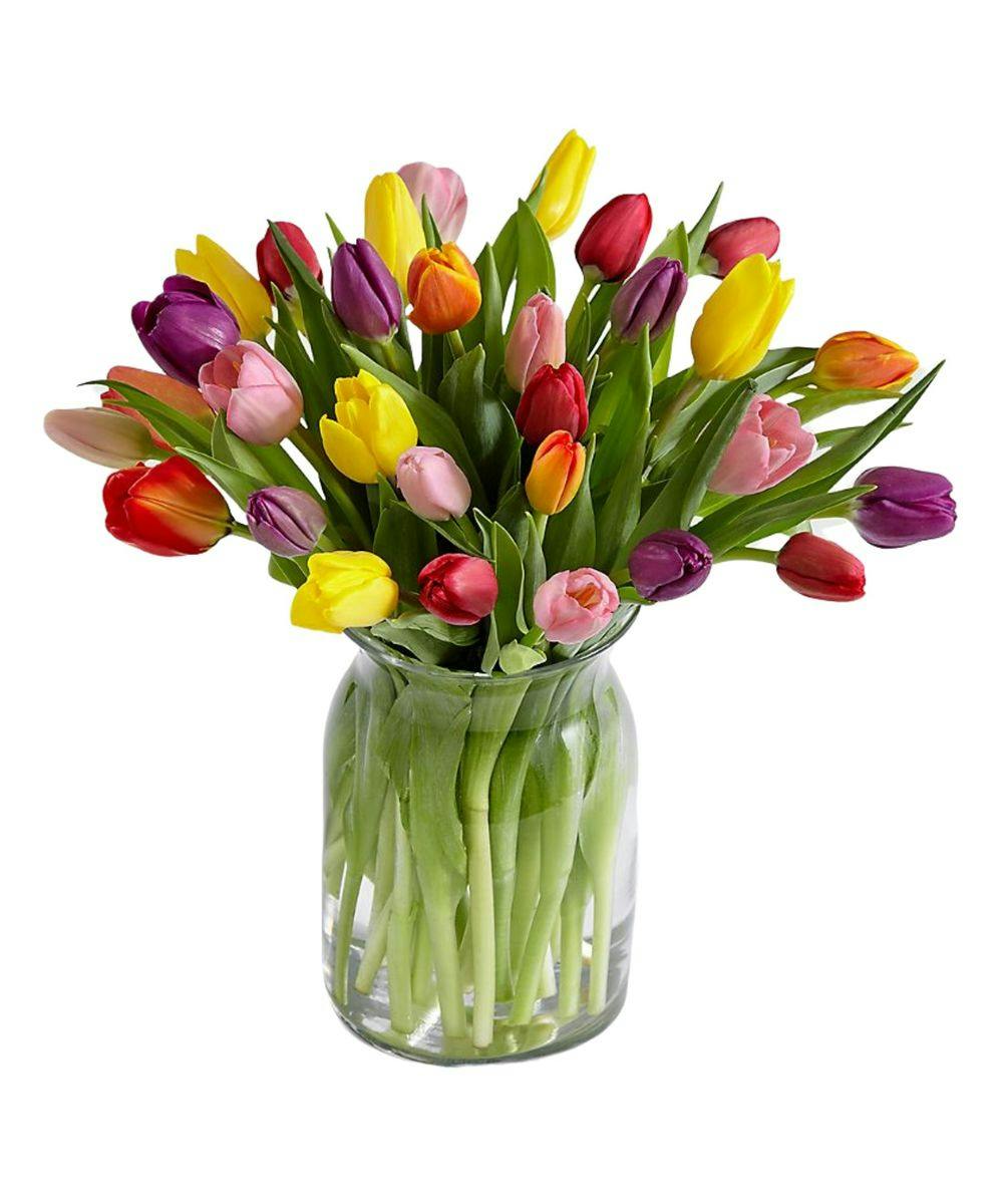 Spring Flowers Milwuakee - Same-day Flower & Gift Delivery